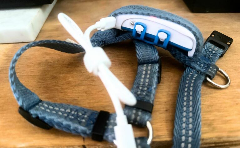 Tractive Reviews: Is This GPS Dog Tracker Reliable? - Canine Journal