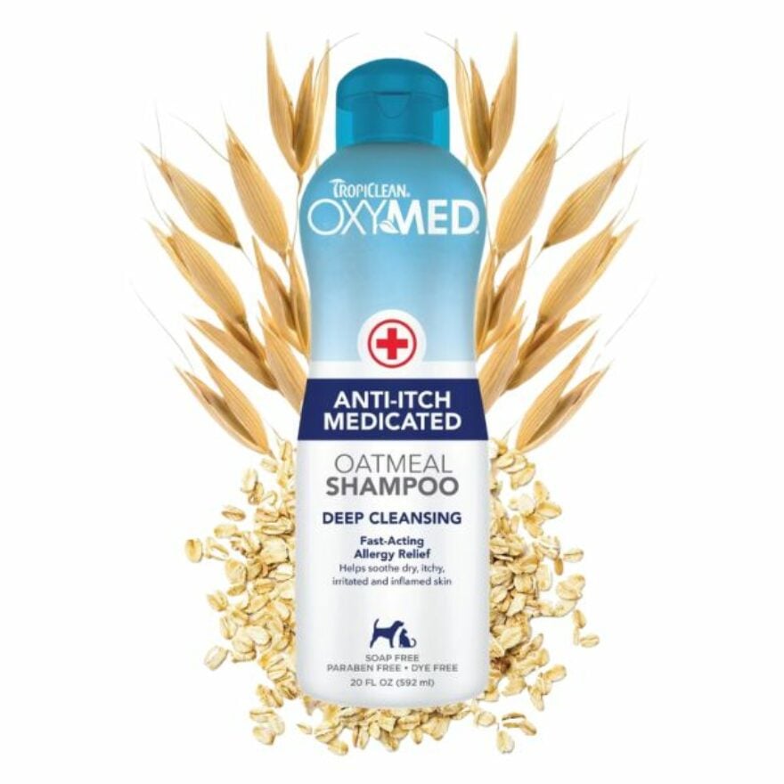 8 Dog Itchy Skin Home Remedies: Anti-Itch Spray, Soothing Baths & More