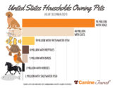 Pet Ownership Statistics: How Many Dogs Are In The World?