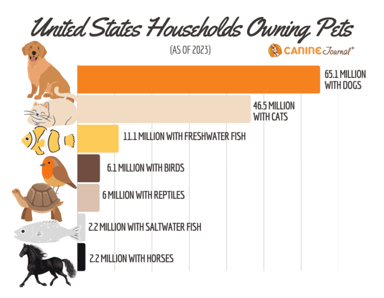 Pet Ownership Statistics: How Many Dogs Are In The World?