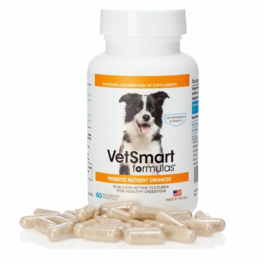 Pet Wellness Direct Reviews: VetSmart Supplements For Immunity ...