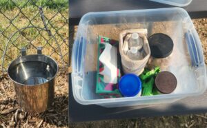 Sniffspot Review: My Personal Experience With The Airbnb Of Dog Parks