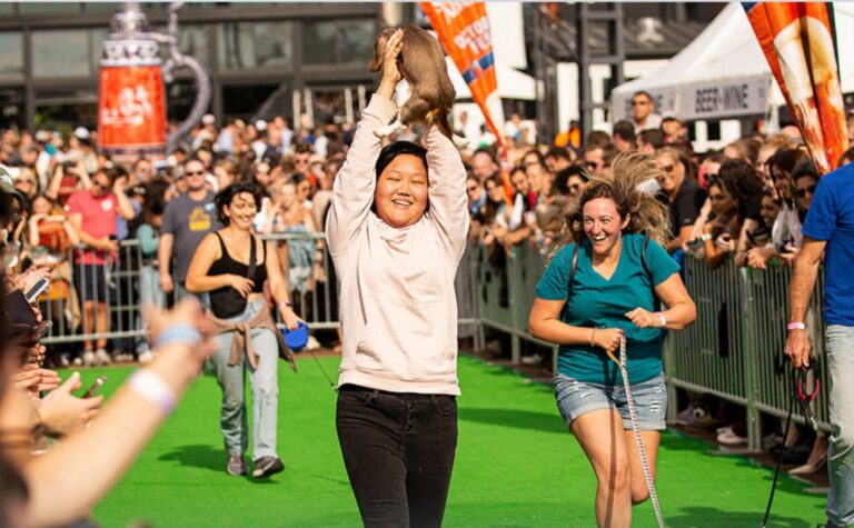 Annual Dog Breed Meet-Ups & Events In 2025 For Dog Lovers - Canine Journal