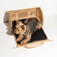 Wild One Reviews: Do Their Trendy Pet Products Live Up To The Hype?