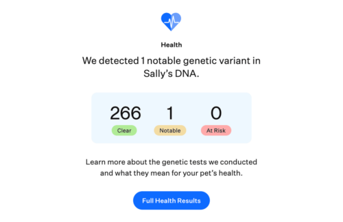 Wisdom Panel Review: My Dog's Real DNA Test Results