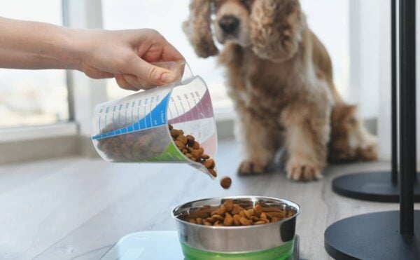 Best Hypoallergenic Dog Food: 8 Top Picks - Canine Journal