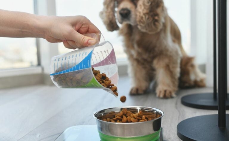 Best Hypoallergenic Dog Food: 8 Top Picks - Canine Journal
