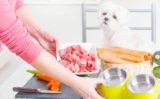 Boost Your Dog’s Health With These 8 Homemade Meals - Canine Journal