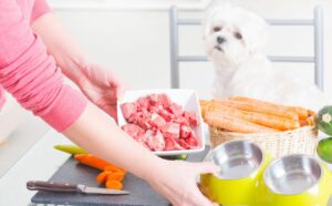 Rottweiler Feeding Chart: How Much To Feed Your Rottie Puppy - Canine ...