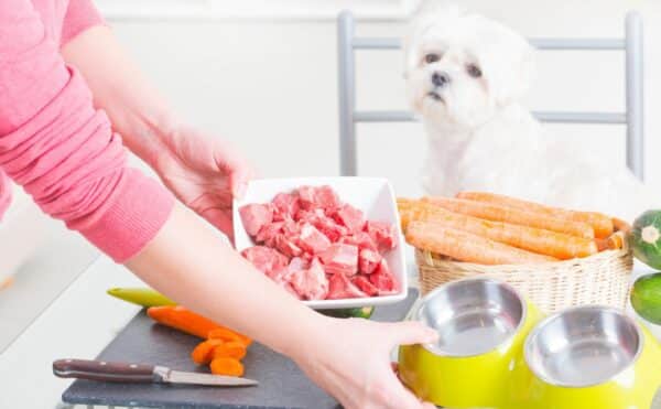 Rottweiler Feeding Chart: How Much To Feed Your Rottie Puppy - Canine ...