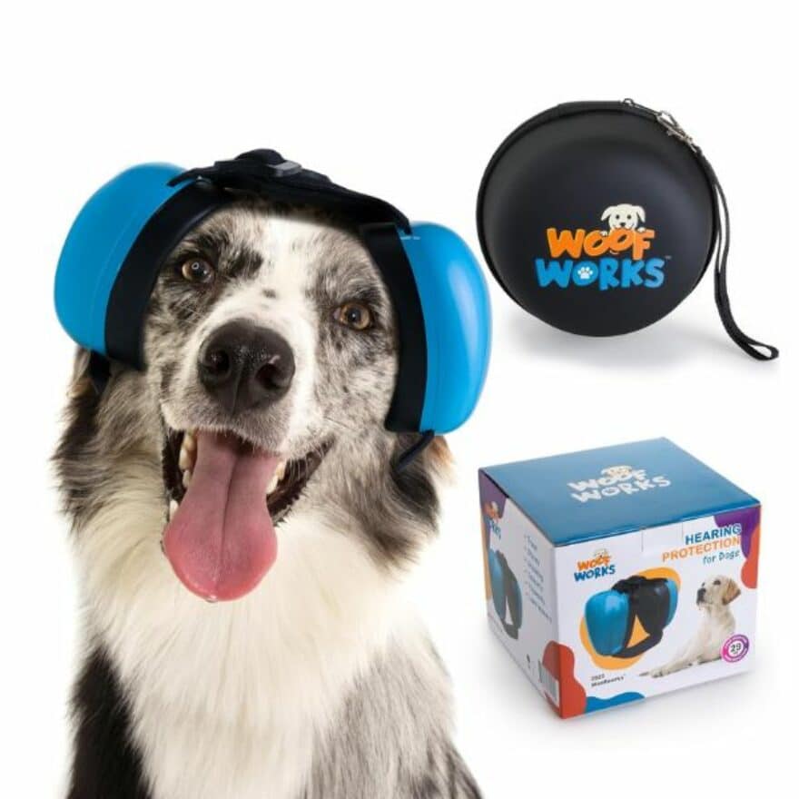 Best Noise Cancelling Headphones For Dogs: The Best Dog Ear Protection ...